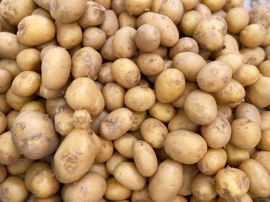 Taze Patates – Pazarım Sensin